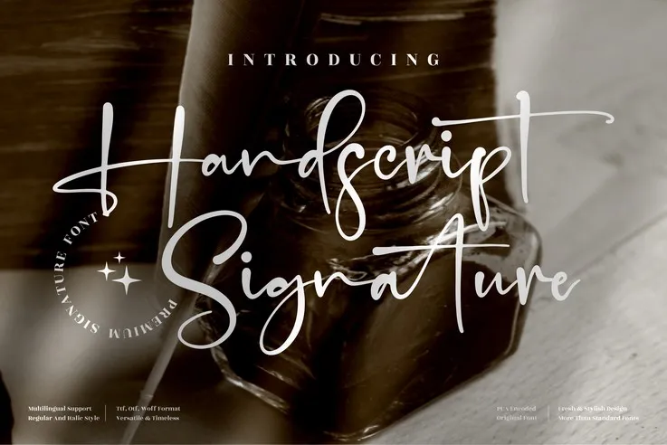 Handscript Signature Font | Letterena Studios