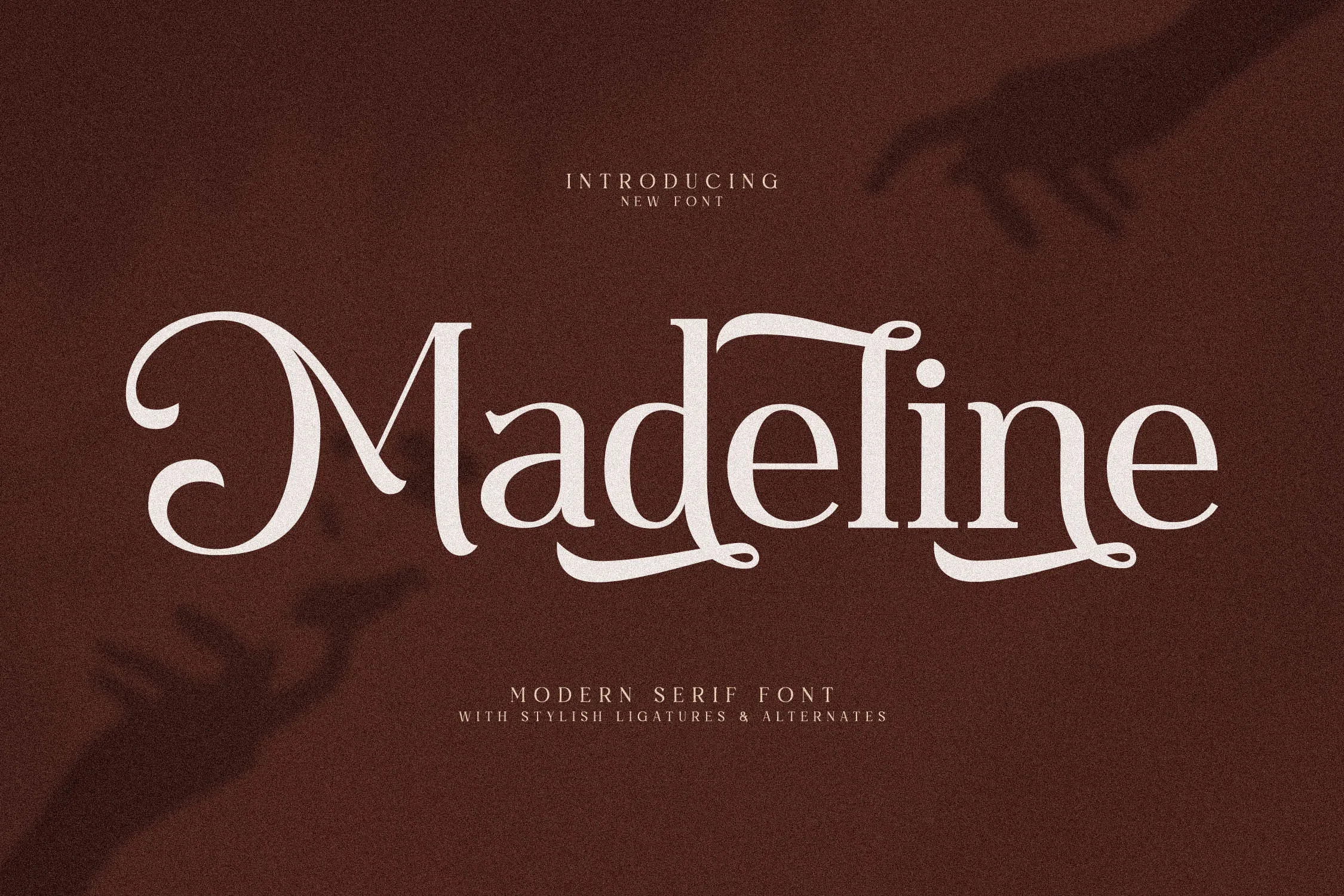 Madeline Font | Letterena Studios