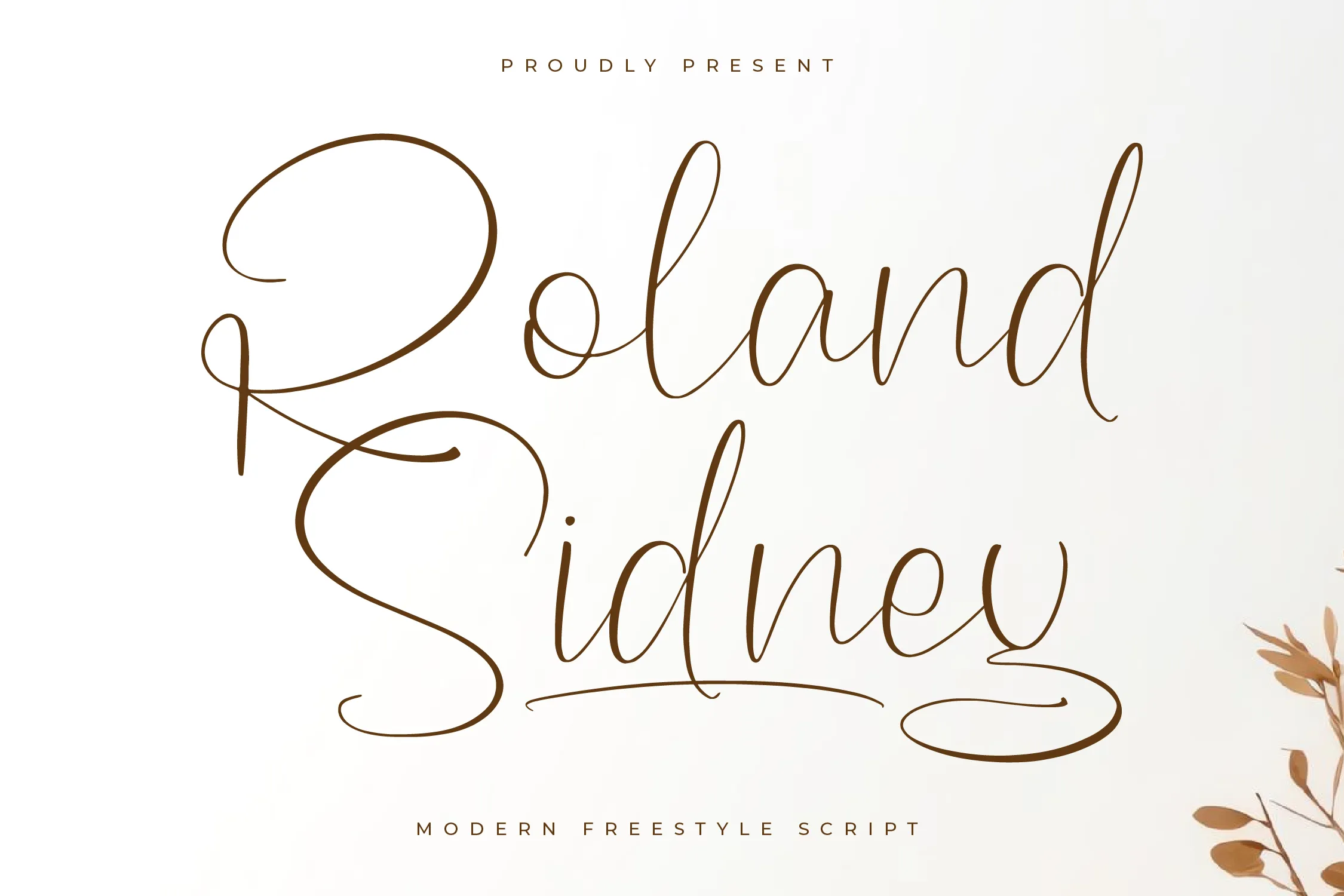 Roland Sidney - Modern Freestyle Script Font | Letterena Studios