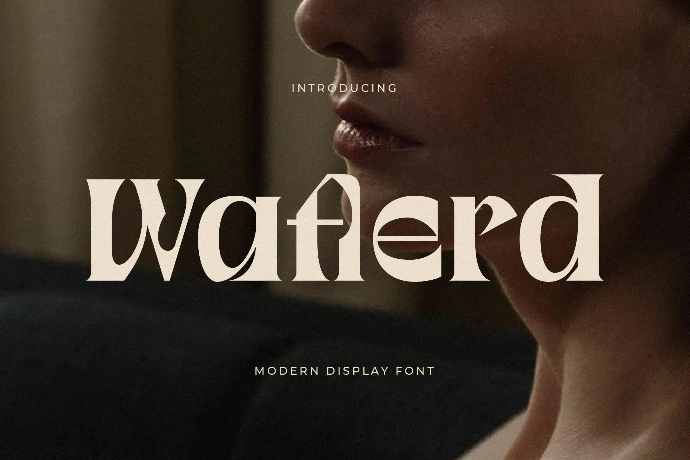 Waflerd - Modern Display Font Font | Letterena Studios
