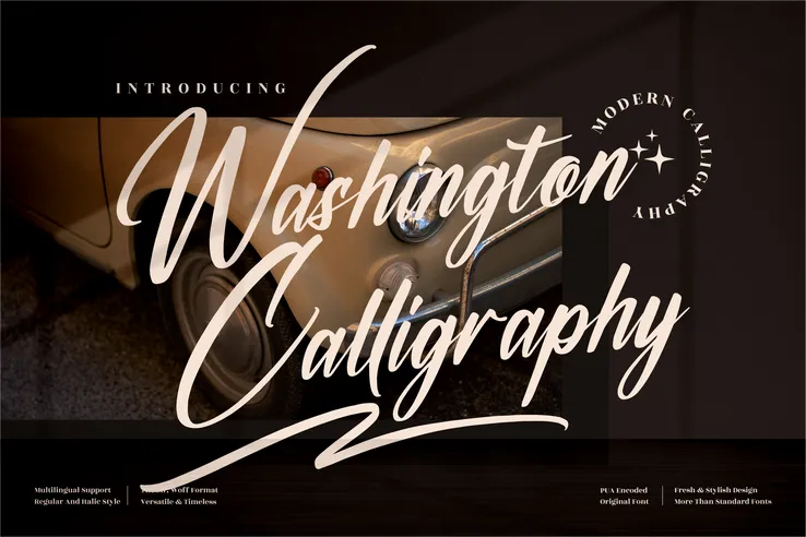 Washington Calligraphy Font | Letterena Studios